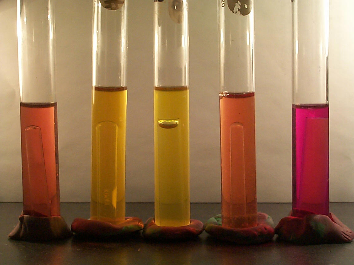 Fermentation Test Tube
